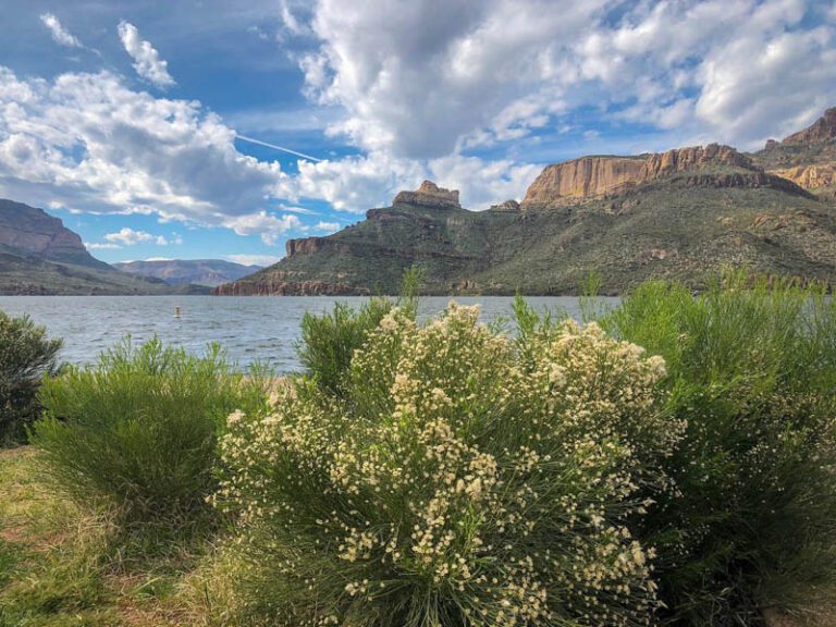 12 Mind-Blowing Lakes in Arizona to See in 2026 - Global Viewpoint