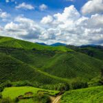 12 Most Beautiful Places in the French Alps to Visit - Global Viewpoint