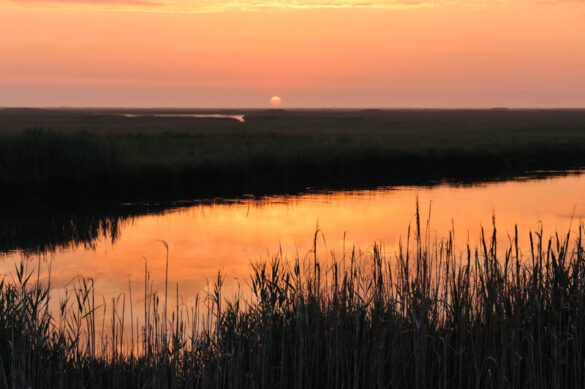 12 Places in Delaware That Will Leave You Speechless - Global Viewpoint