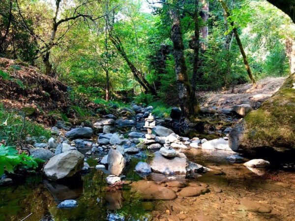 11 Jaw-Dropping Places in Napa Valley You Won’t Believe Exist