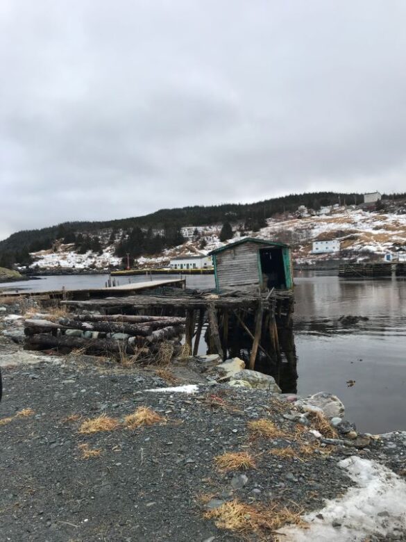 12 Scenic Destinations in Newfoundland and Labrador to Visit - Global ...