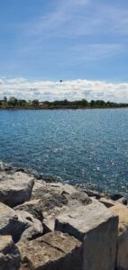 The 12 Prettiest Spots in Buffalo NY You Won’t Believe Exist