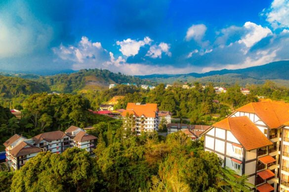 Cameron Highlands: Malaysia's Coolest Hill Station (Literally) - Global ...