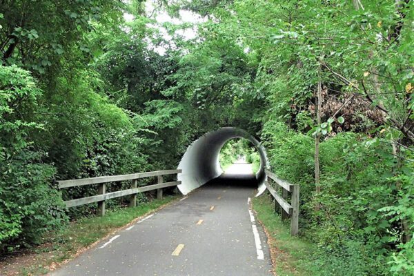 12 Must-Visit Places in Cape Cod (By a Local) - Global Viewpoint