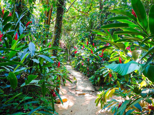 Discover Roatan Island: 12 Best Attractions and Things to Do - Global ...