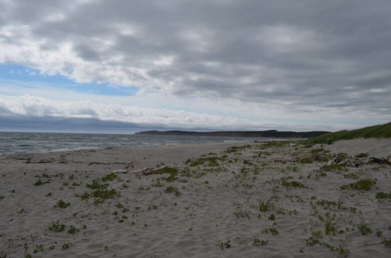 12 Once-in-a-Lifetime Destinations in Newfoundland and Labrador