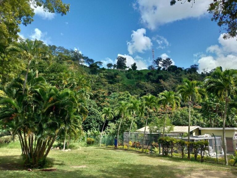 12 STUNNING Places in Dominica to Visit This Year (2026)