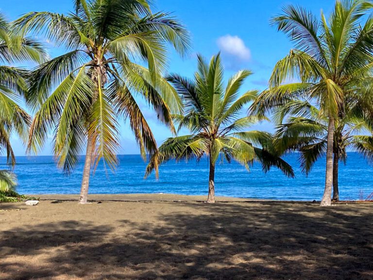 12 Unique Things to Do in Reunion Island (Beyond the Basics!) - Global ...