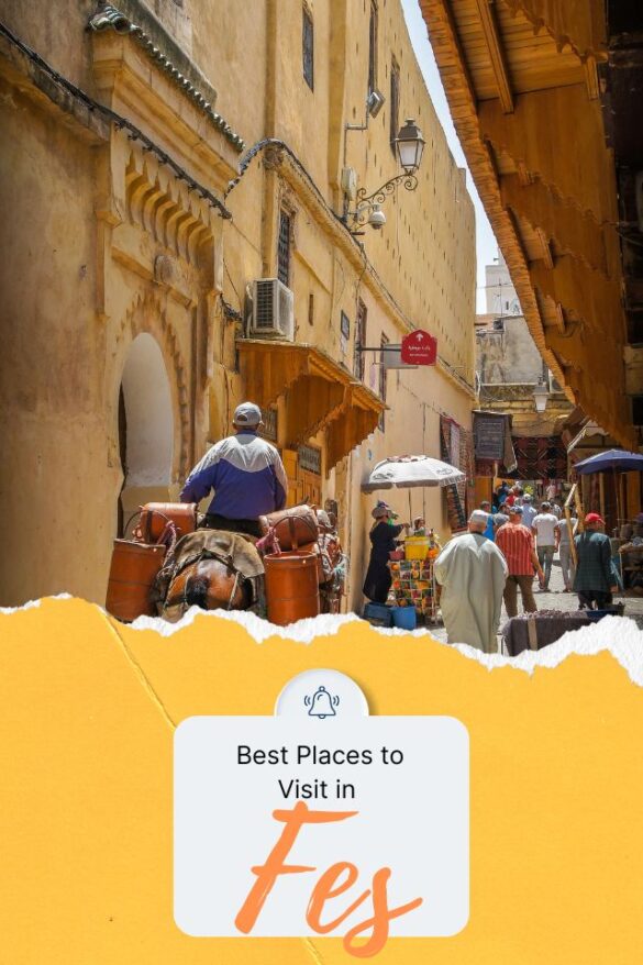 What to Do in Fes: Tannery Smells, Sufi Music & the World's Oldest Uni ...