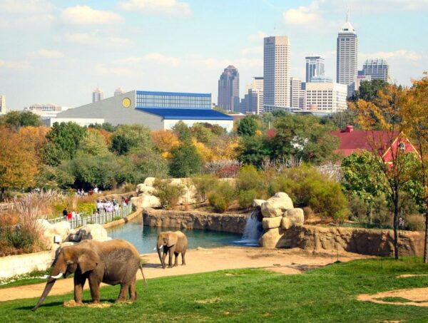 12 Fairytale-Like Places in Indianapolis You’ll Fall in Love With