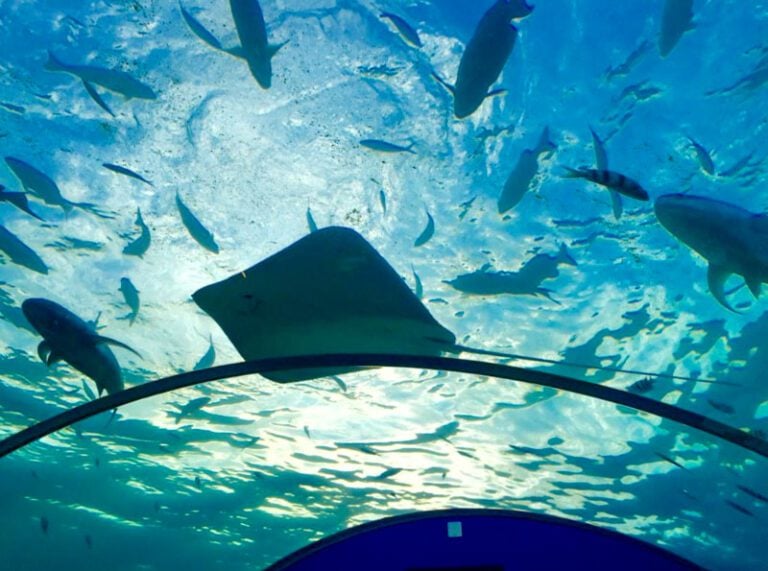 These Are the 27 Most UNIQUE Restaurants in the World (2025)