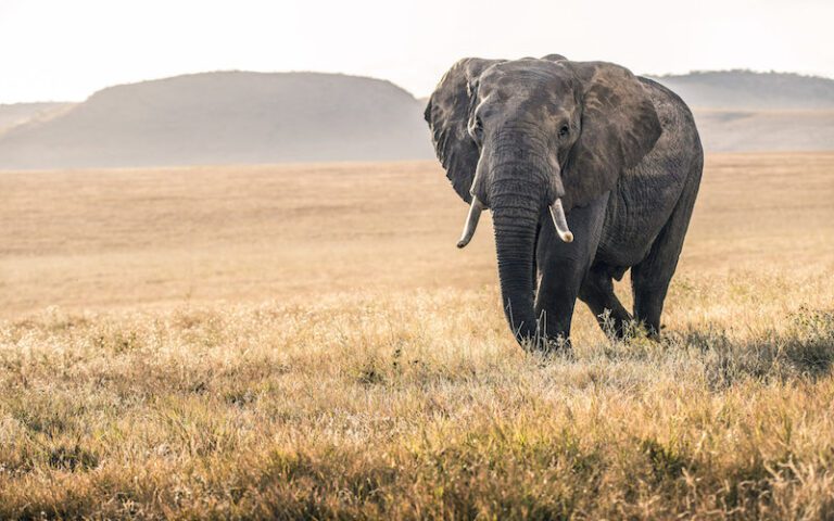 12 Most Beautiful Places in Kenya to Visit (2025 Guide)