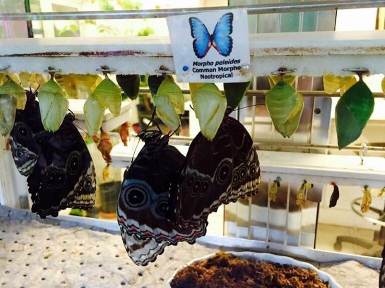 The 12 Most Mesmerizing Locations in the Florida Keys