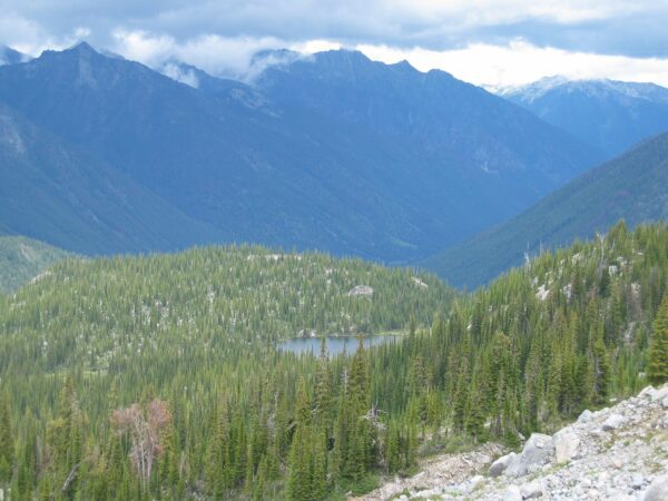 Kootenay Rockies Road Trip: BC's Wilder Side of the Canadian Rockies