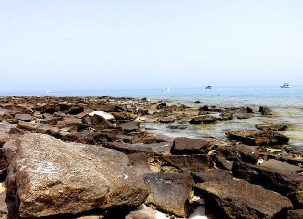 12 Beautiful Places in Kuwait to Visit That Nobody Talks About