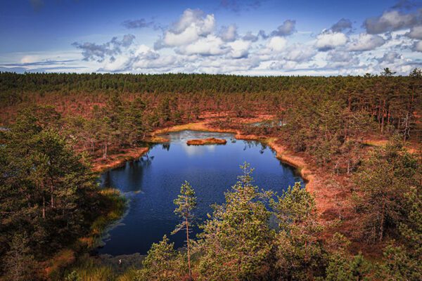 12 Picturesque Places to Visit in the Baltic (Estonia, Latvia, Lithuania)