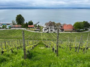 Explore Lake Constance: 15 Amazing Attractions You Can’t Miss - Global ...