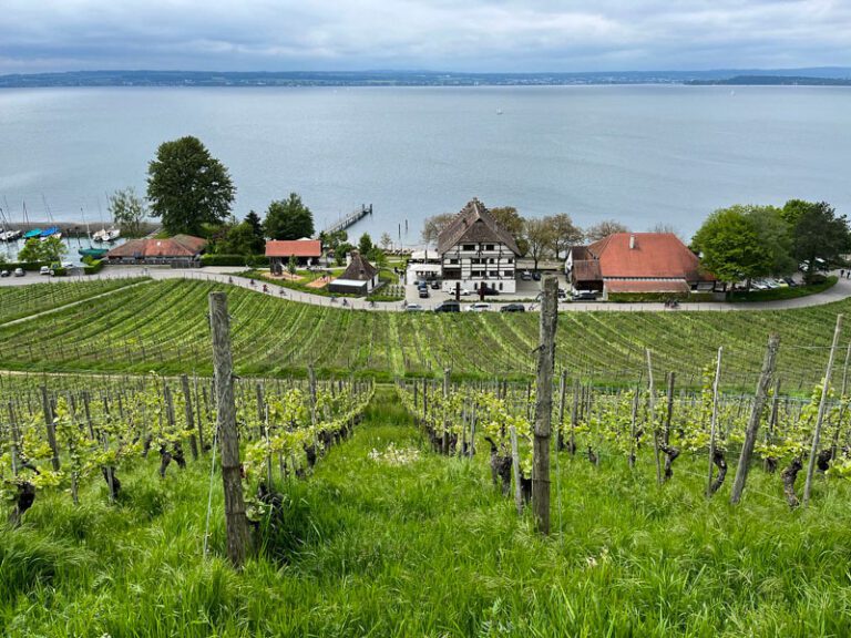 Lake Constance Bucket List: Three Countries, One Epic Alpine Lake ...