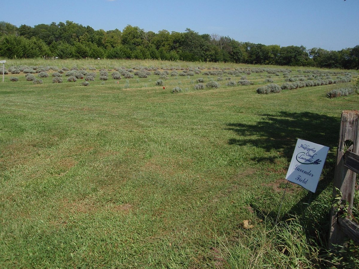 12 Epic and Beautiful Spots to See in Kansas