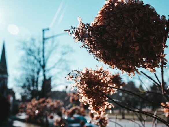 12 Awesome Things to Do in Providence, RI for an Epic Trip - Global ...