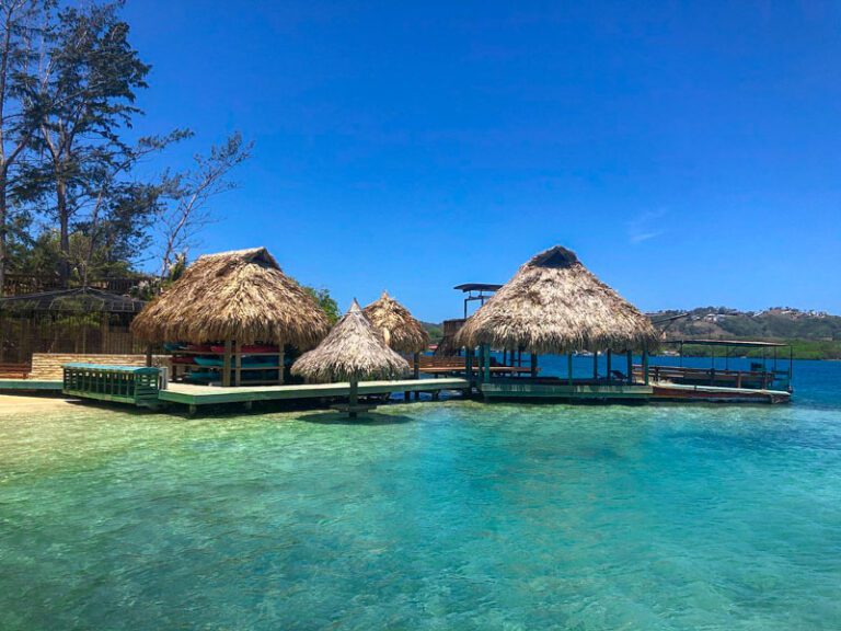 Best of Roatan Island: Reef Snorkeling, Zip-Lines, White Sand Beaches ...