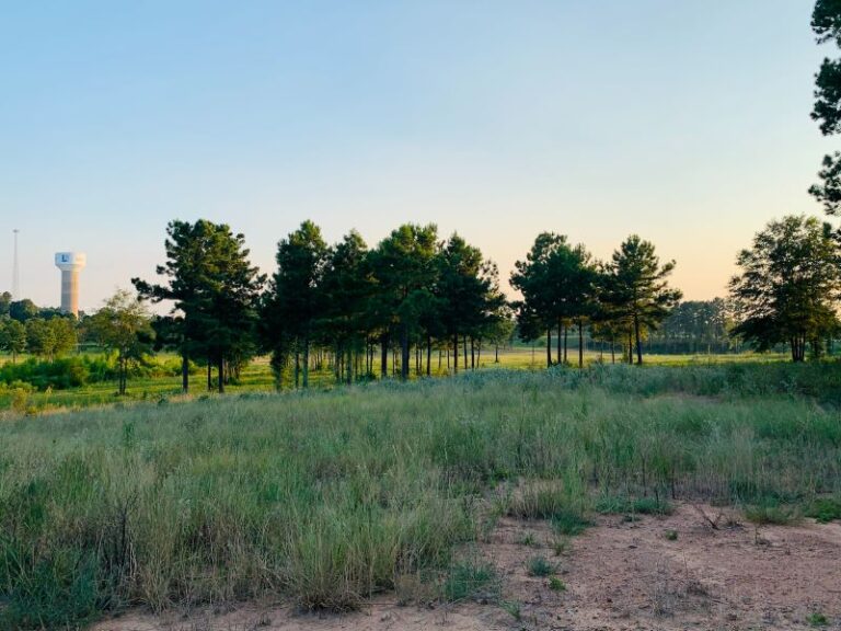 12 Picture-Perfect Spots in East Texas That Feel Like a Dream - Global ...