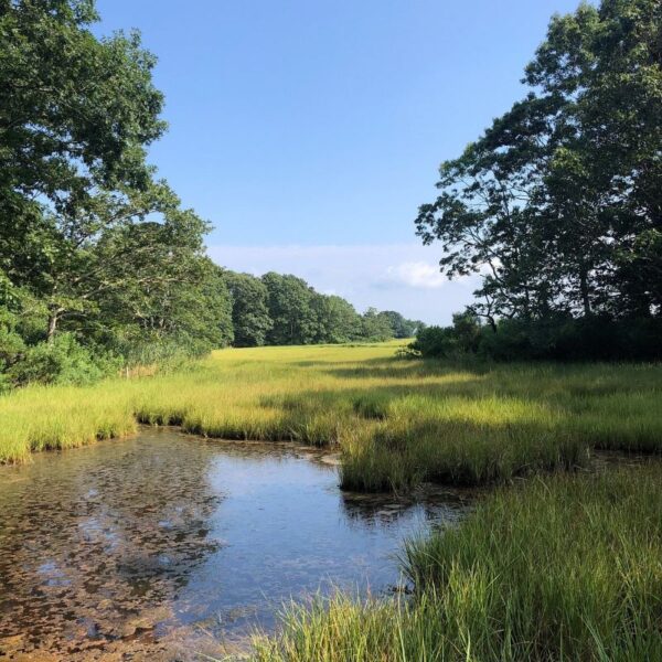 12 Fairytale-Like Places in The Hamptons You’ll Fall in Love With