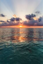 12 Stunning Hidden Gems in Miami You Need to See - Global Viewpoint
