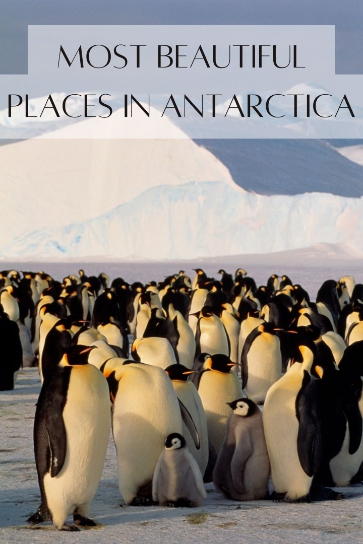 12 Mind-Blowing Places in and Near Antarctica to See in 2026