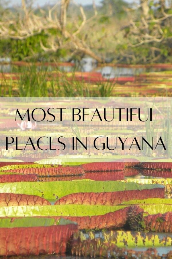 12 Surreal Guyana Spots You Need to Experience