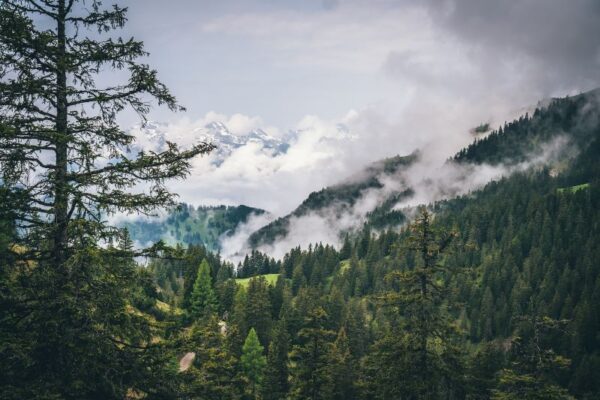 12 Most Beautiful Places in Liechtenstein to Visit (Tiny But Mighty!)