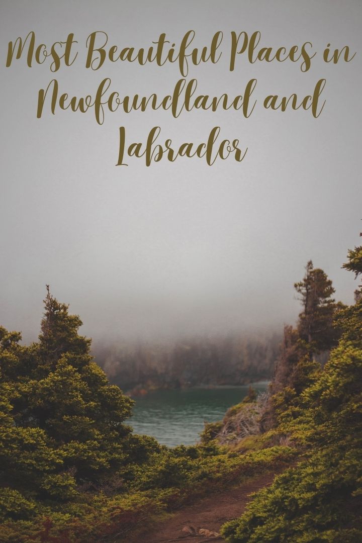 12 Once-in-a-Lifetime Destinations in Newfoundland and Labrador
