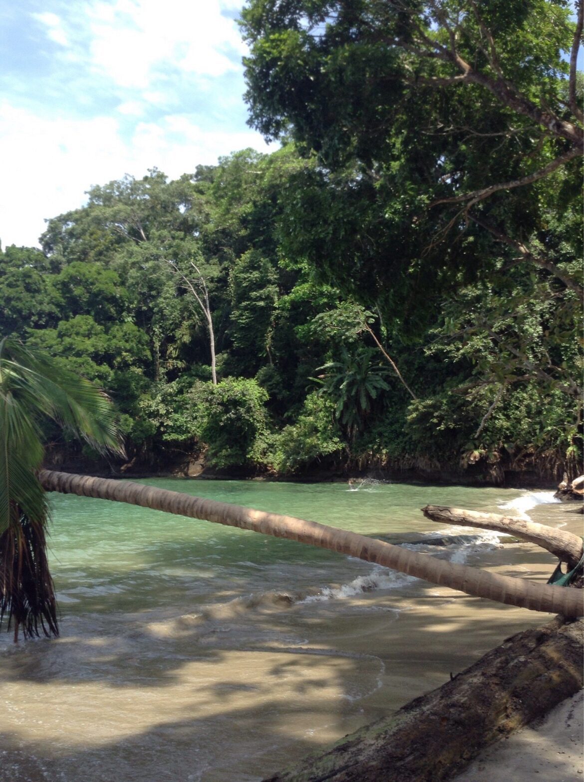 12 Must-Do Activities in Puerto Viejo, Costa Rica: Top Attractions and ...
