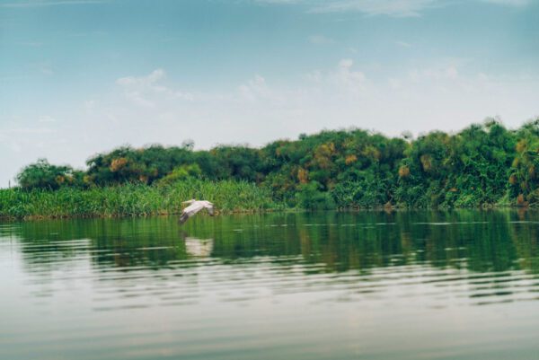 13 STUNNING Places in Uganda to Visit This Year (2025)