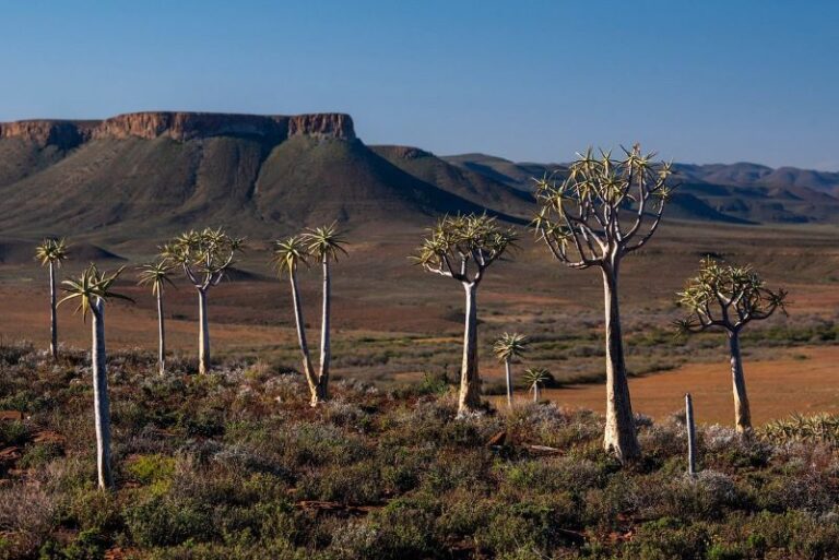 12 INCREDIBLE Places in Namibia to Visit This Year (2025 Guide)