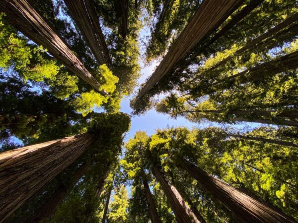 13 Magical Northern California Destinations That Feel Like Another World
