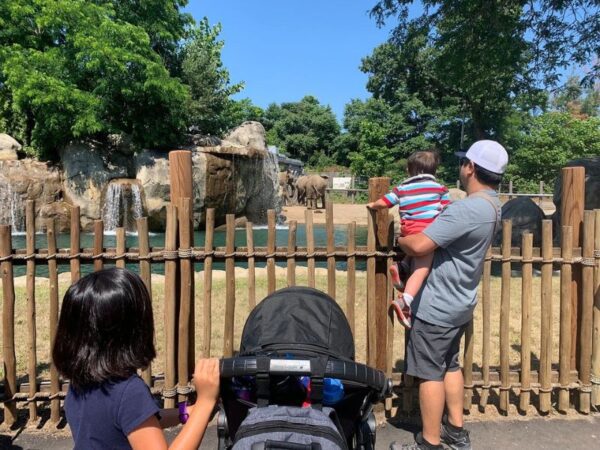 Providence, RI Bucket List: Zoos, Art & River Walks - Global Viewpoint