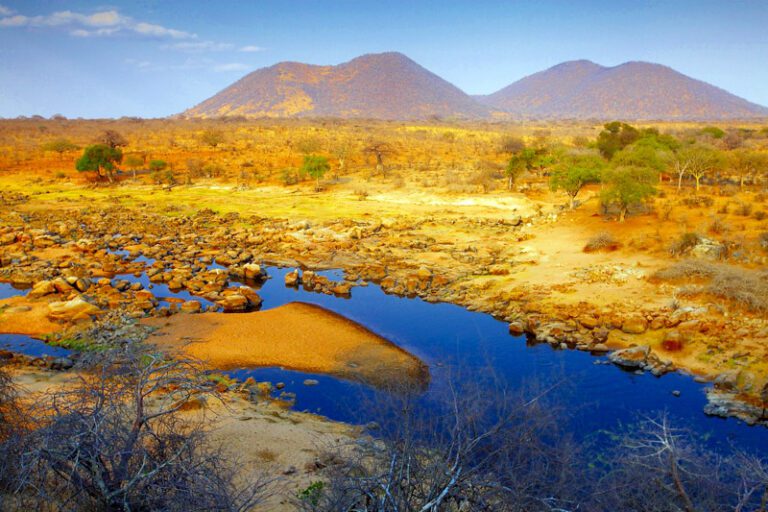12 INCREDIBLE Places in Tanzania to Visit For Wildlife Lovers