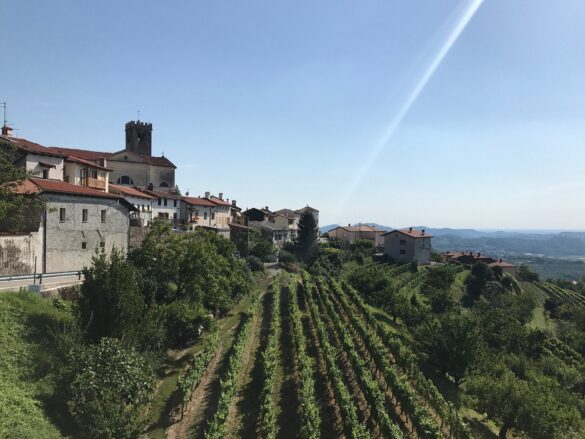 The Ultimate Slovenia’s Brda Region Guide: 11 Things to Do & Places to ...