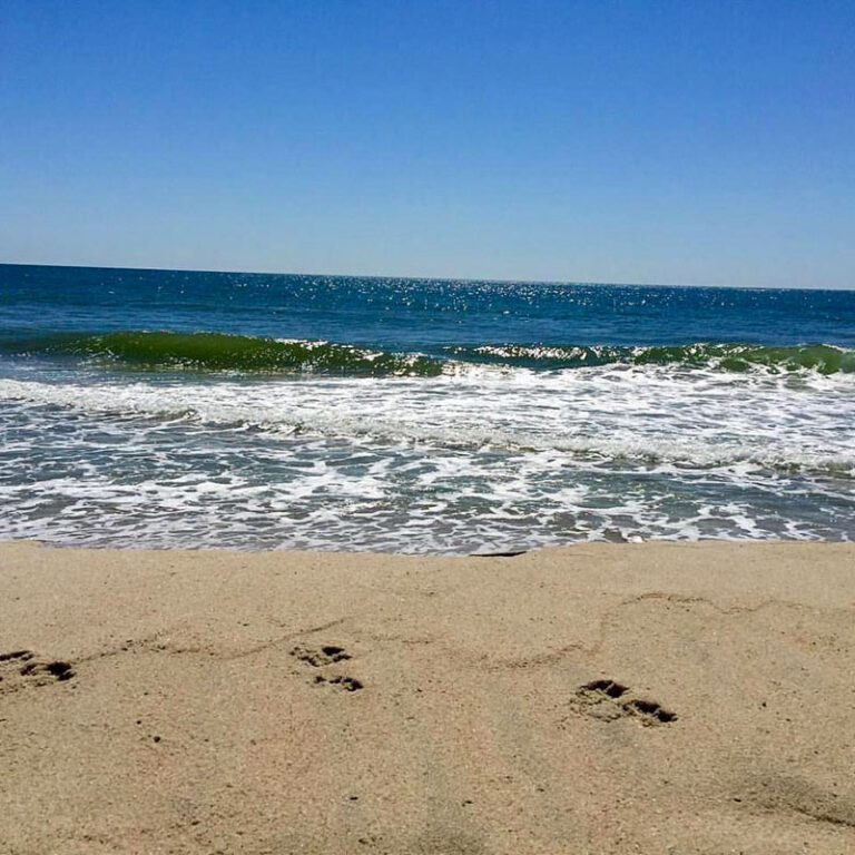 Nantucket’s 12 Best Attractions & Experiences for First-Timers - Global ...