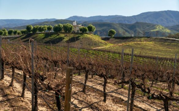 12 Stunning Photo Spots in Southern California for Your IG Feed ...