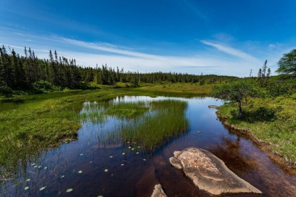 12 Once-in-a-Lifetime Destinations in Newfoundland and Labrador