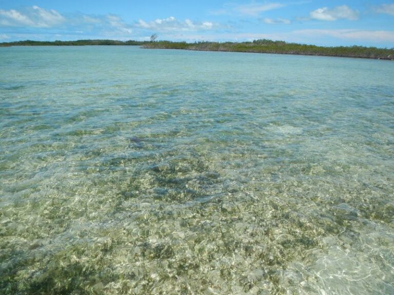 13 STUNNING Places in Belize to Visit That Look Like Paradise