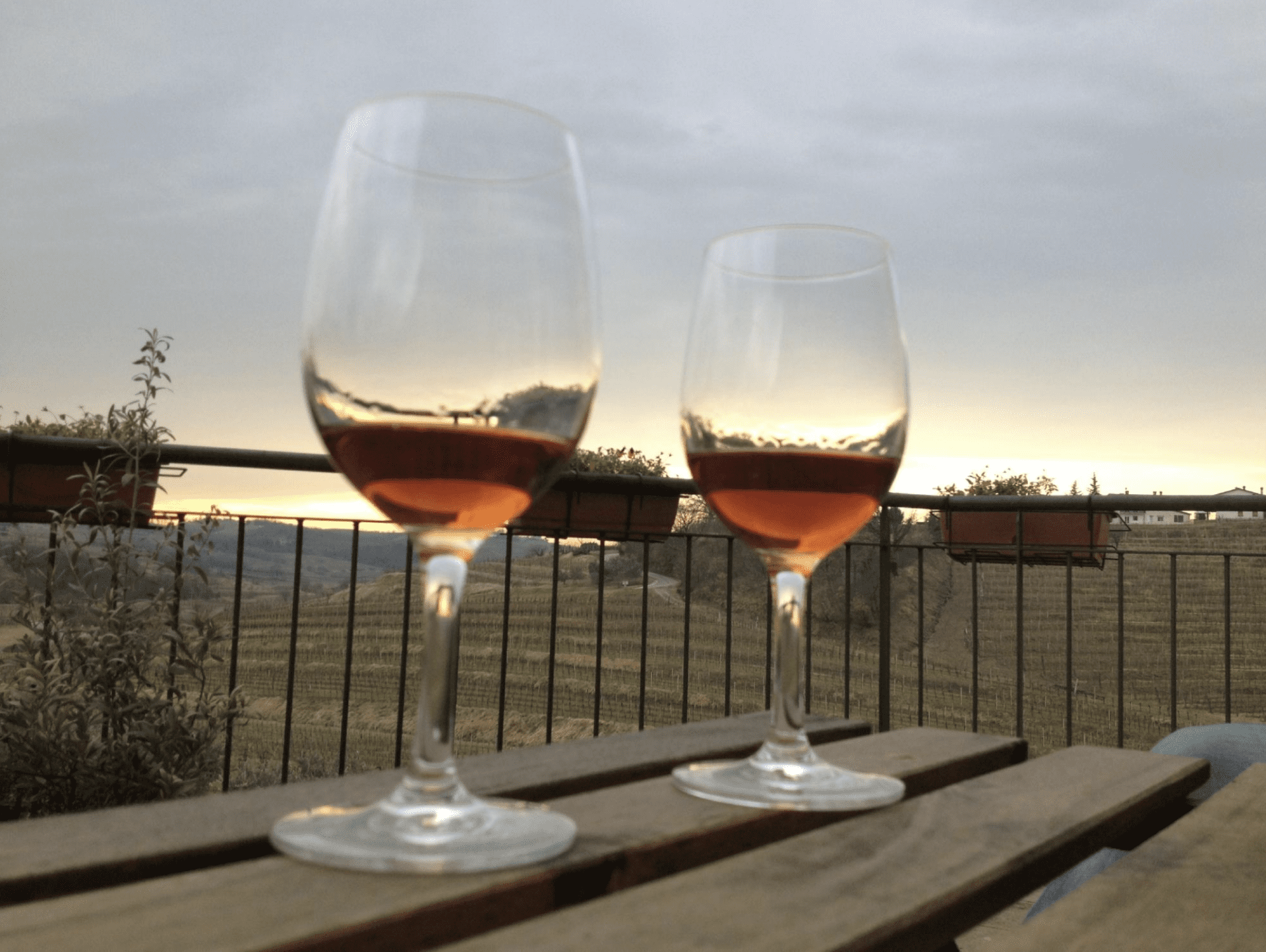 The Ultimate Slovenia’s Brda Region Guide: 11 Things to Do & Places to ...