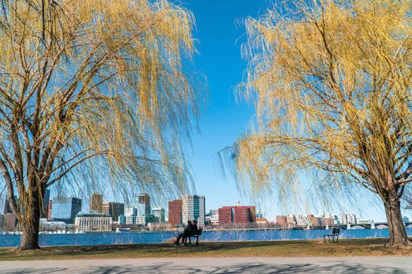 The 12 Most Beautiful Places in Boston (By a Local Travel Blogger)