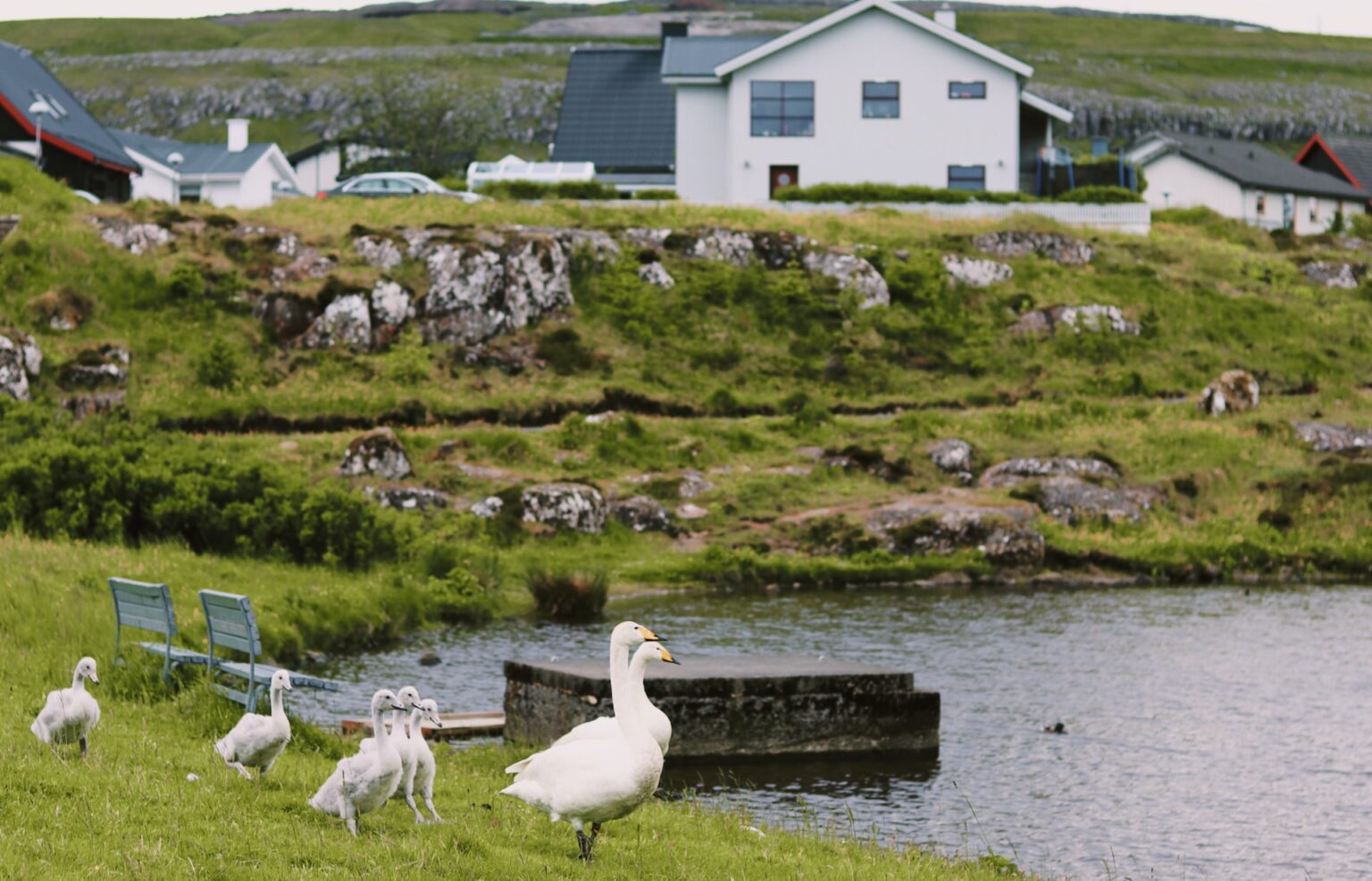 12 Unique Things to Do in Faroe Islands (Beyond the Basics!)