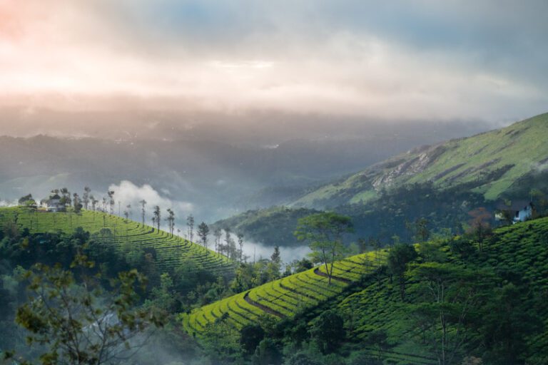 12 Bucket List-Worthy Places in Kerala