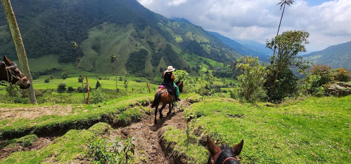 Why Valle de Cocora Is Colombia’s Most Epic Hike: Palm Valleys & Cloud ...