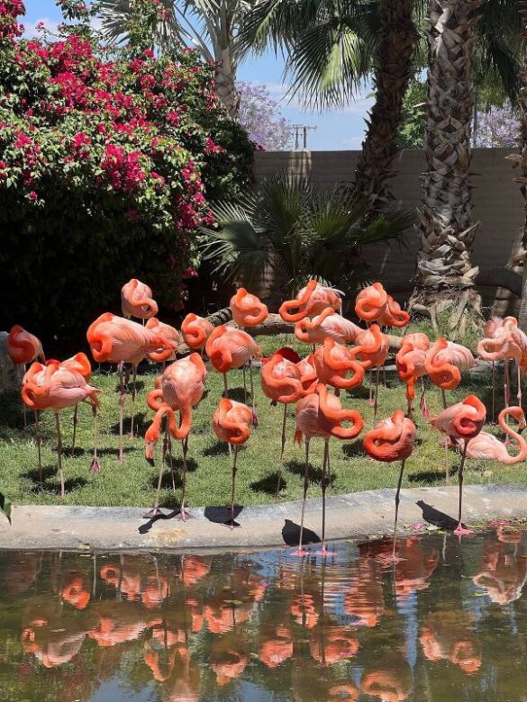 12 Insanely Gorgeous Places in Phoenix, Arizona You Need to See