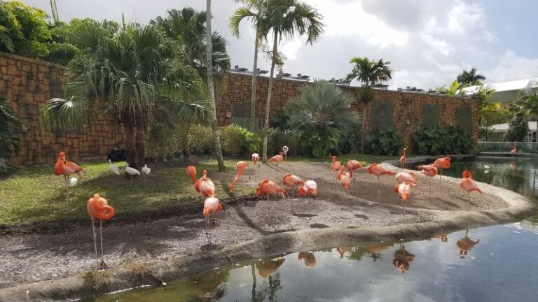 12 Stunning Hidden Gems in Miami You Need to See - Global Viewpoint